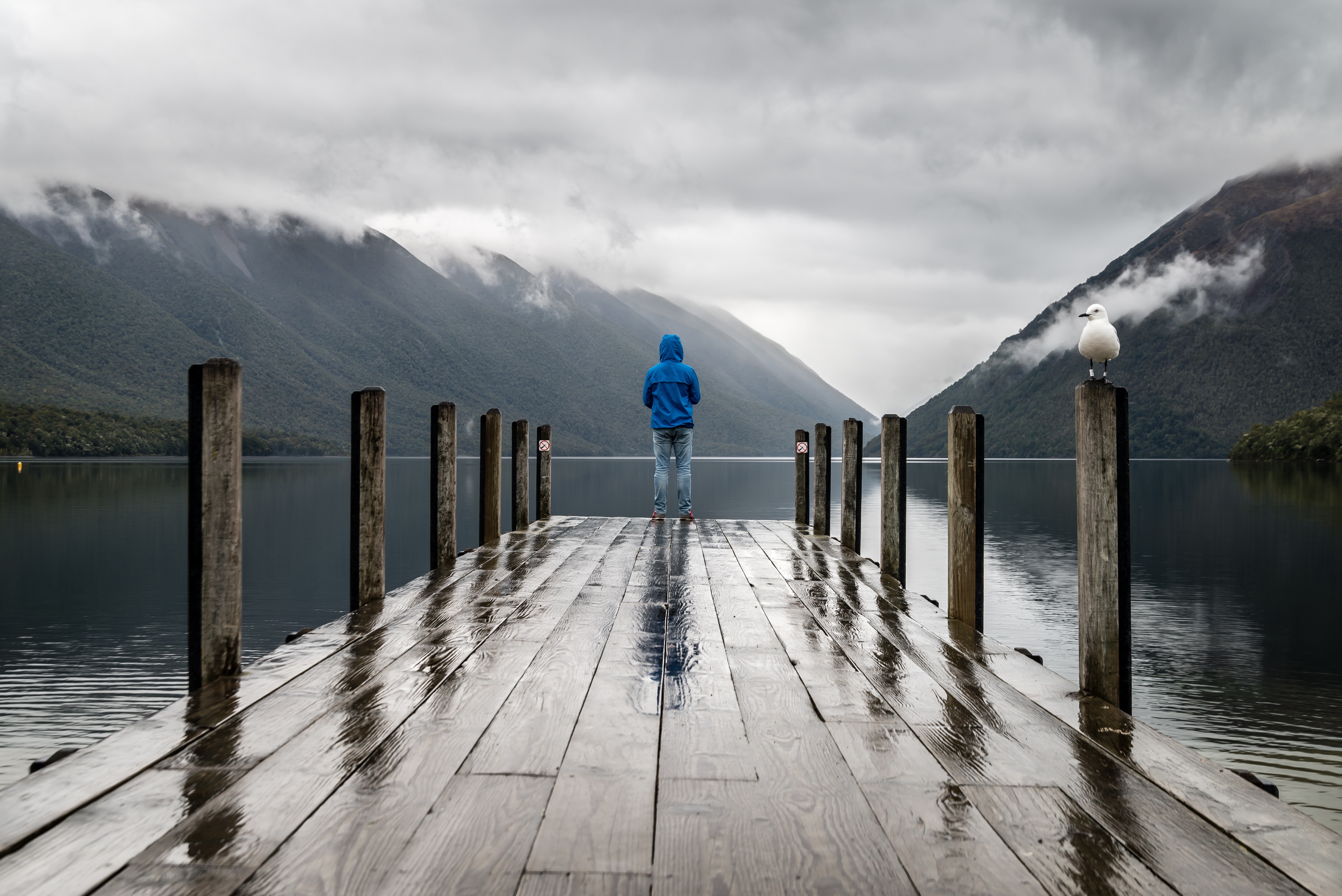 Humbling Oneself – The Sisterhood Hub