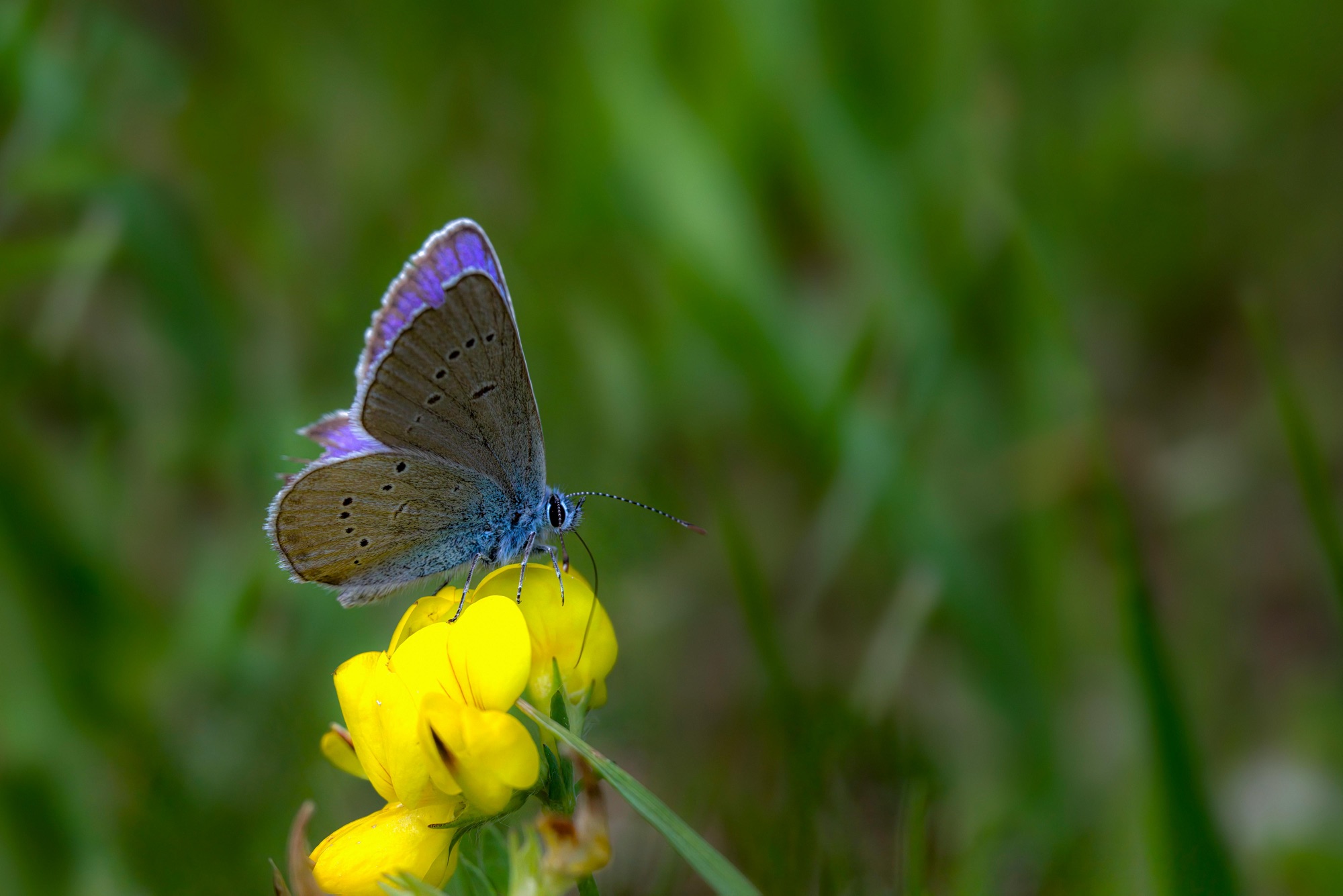 15 Characteristics of Humility: A Biblical Guide to Living Humbly – The ...