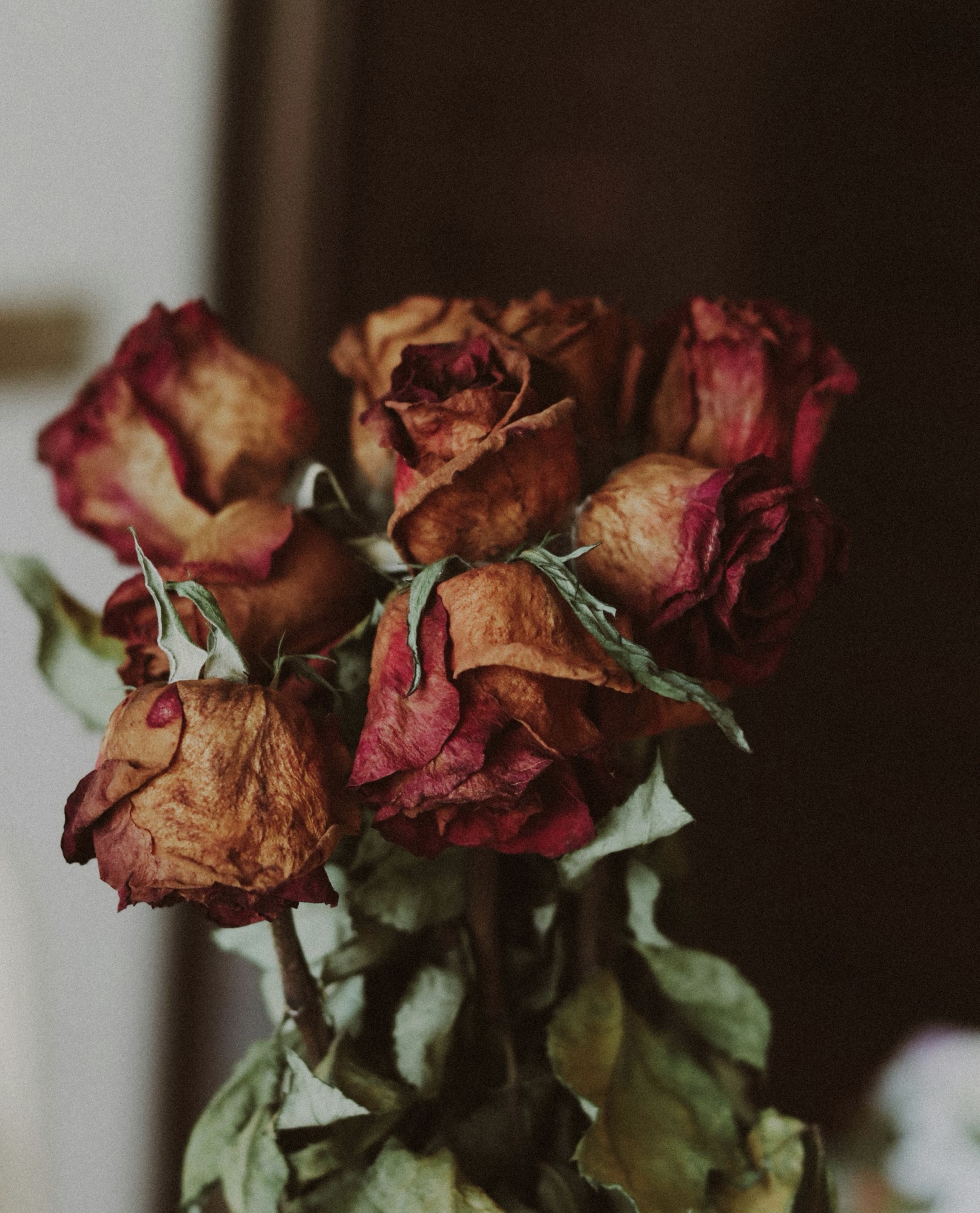 What the Bible Teaches About the Dead – The Sisterhood Hub